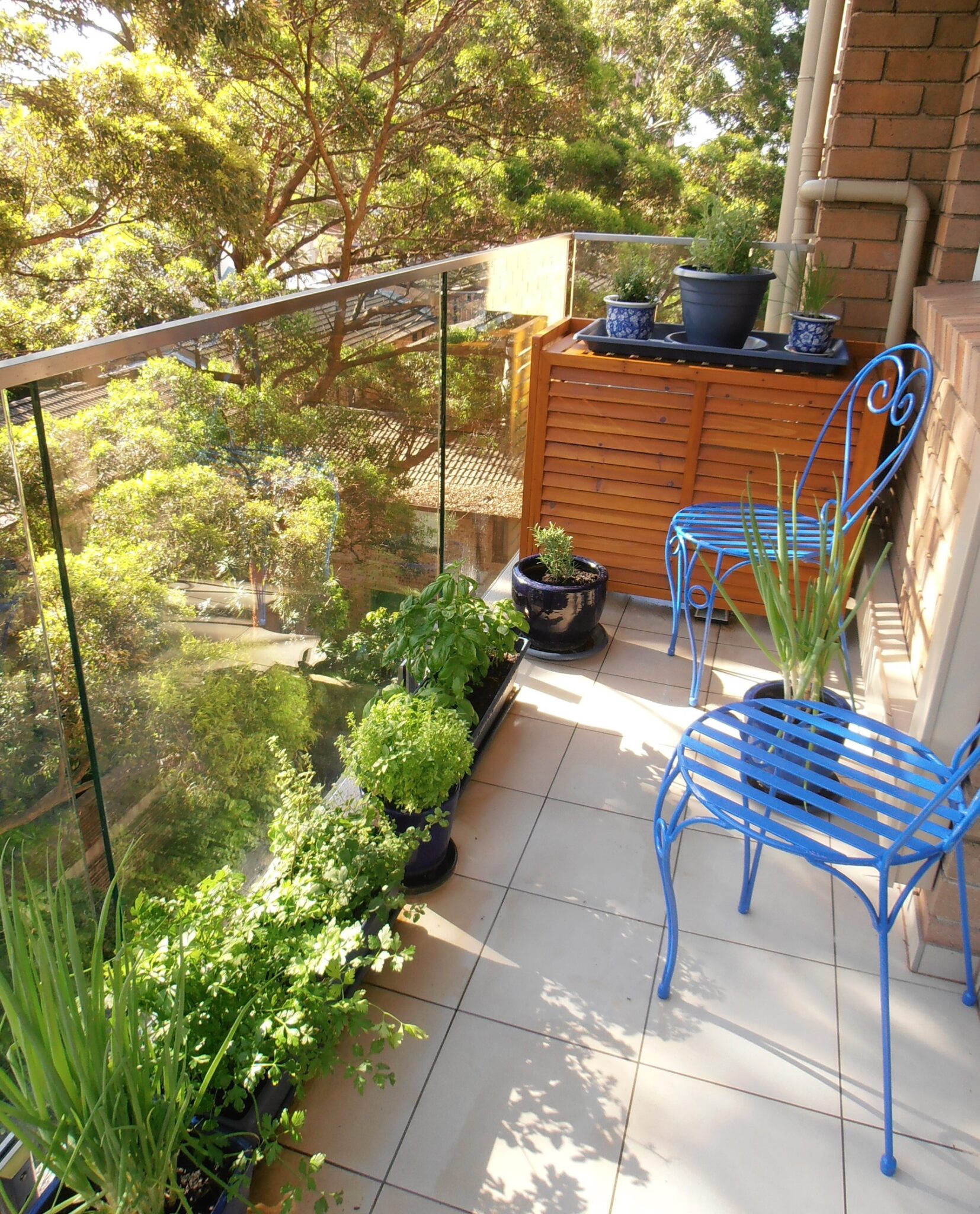 Memoranda – Michelle Cooper, Australian author